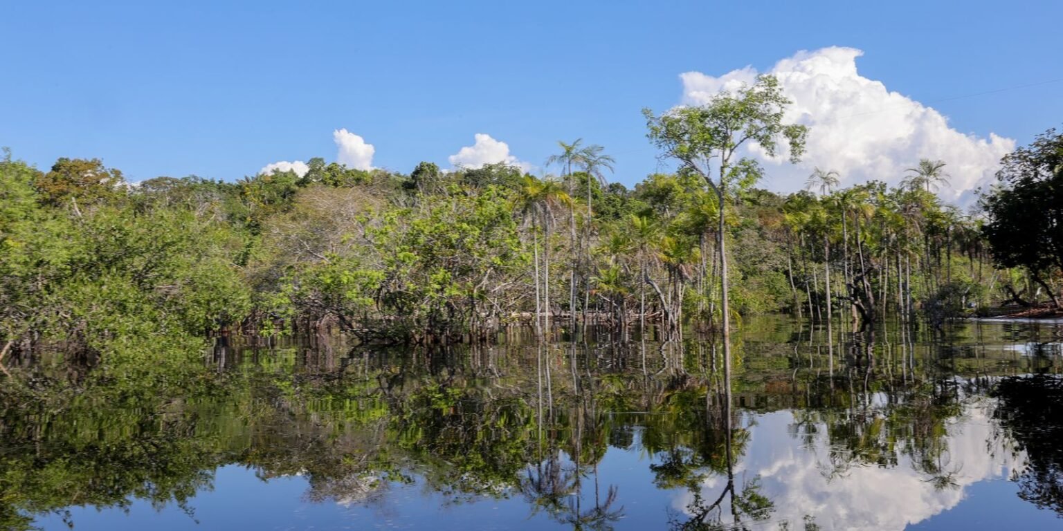 Tesouro muda regras do Eco Invest Brasil e amplia prazo para leilão ...